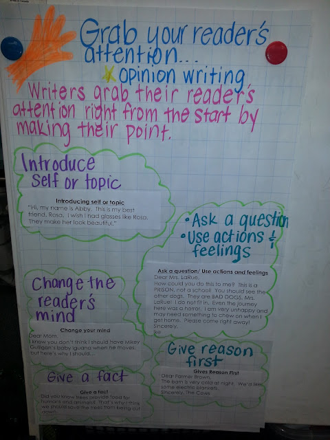 The Go To Teacher: Strengthening Our Opinion Writing